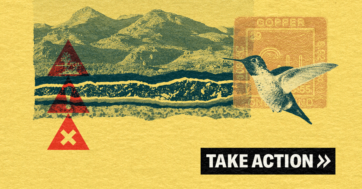 Congress: Support the Save Oak Flat Act | American Civil Liberties Union